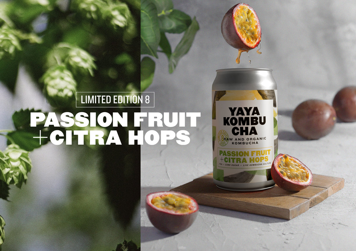 Limited Edition #8: Passion Fruit + Citra Hops – YAYA Kombucha