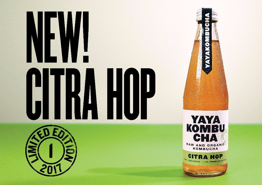 Limited Edition Citra Hop + available on tap! – YAYA Kombucha